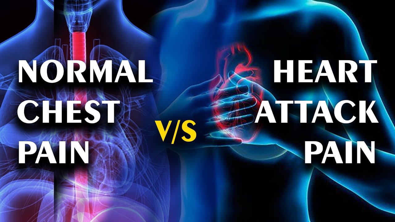 Hart Attack Pain VS Normal Chest Pain #medical_education #pain # ...