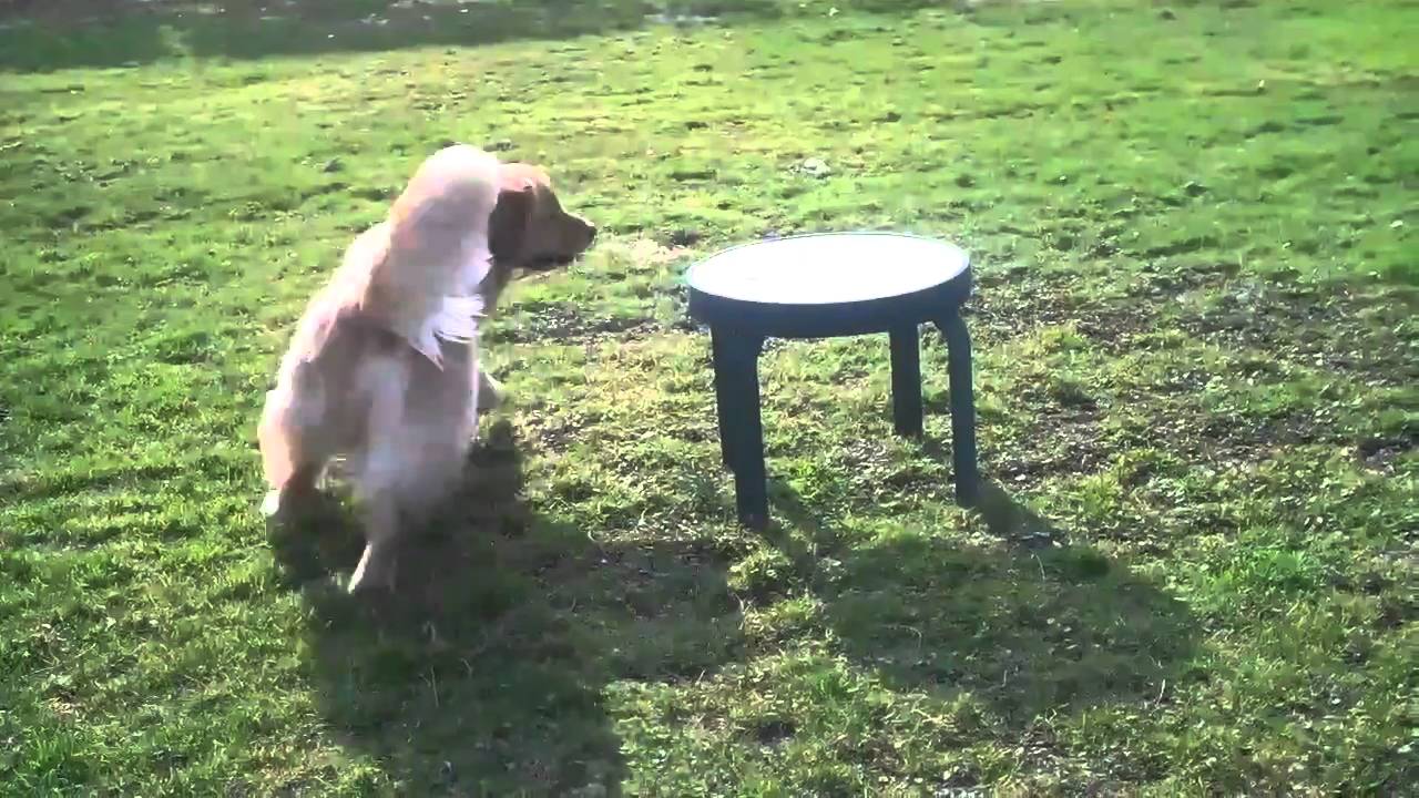 go around object - YouTube