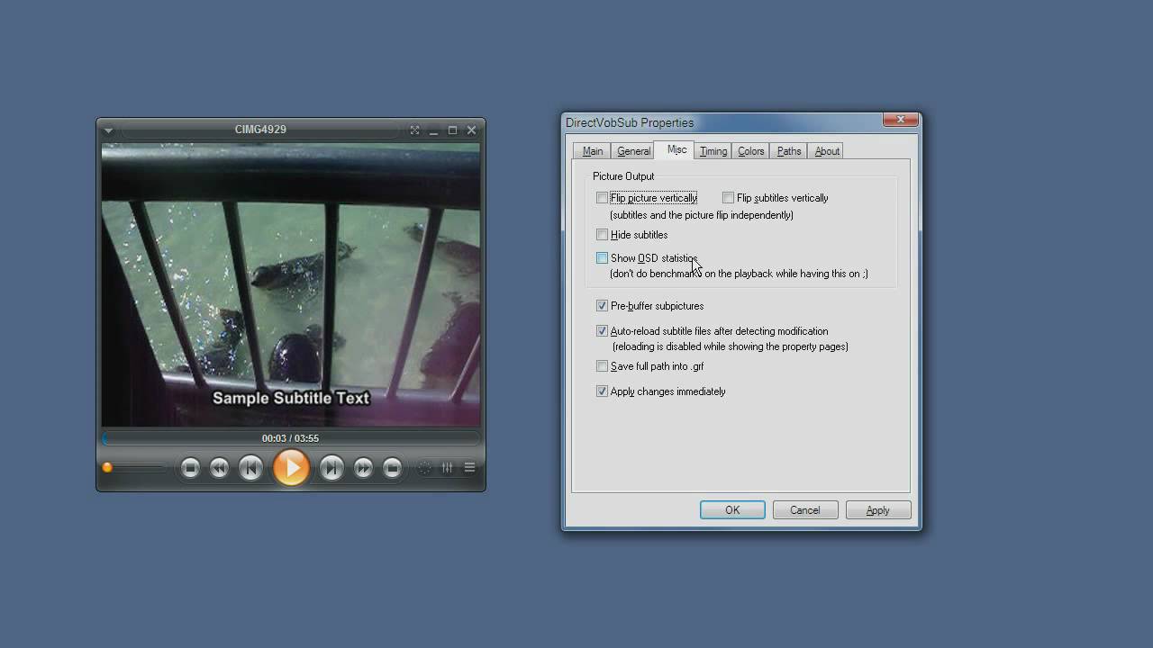 Displaying Subtitles - YouTube
