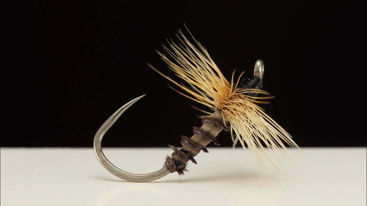 Futsu Condor Stiff Hackle Kebari 普通コンドル スティフハックル毛鉤 - YouTube