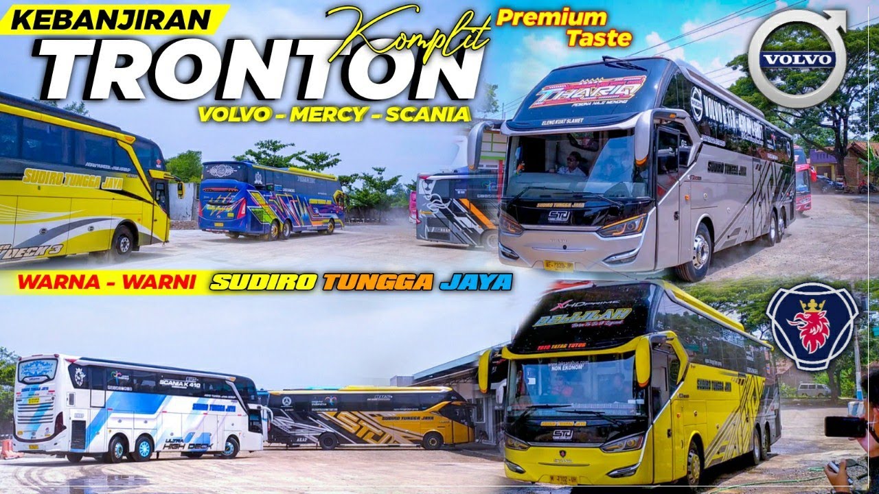 PAKET KOMPLIT TRONTON🤩SEMUA BUS TRONTON DENGAN CHASSIS YANG BERBEDA ...