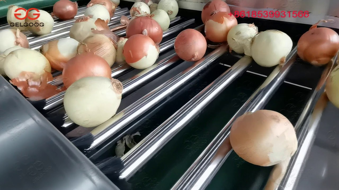 Onion Sorting Grading Machine - YouTube