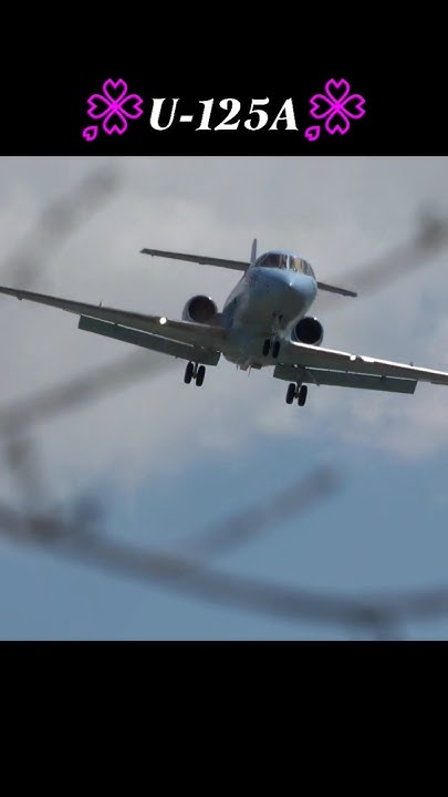 🌸とU-125A#航空自衛隊 #救難隊 #U-125A - YouTube