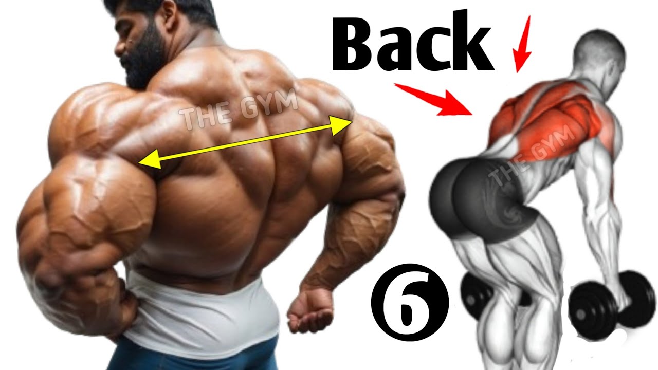 6 Build bigger back workout Routine ( effective ) - YouTube