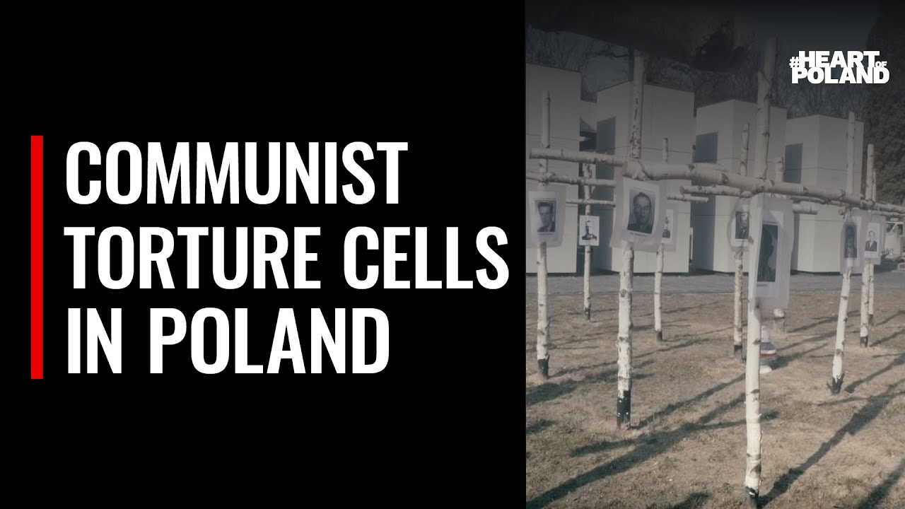 Cursed or Unbreakable? The Anti-Communist Resistance in Poland: Special ...