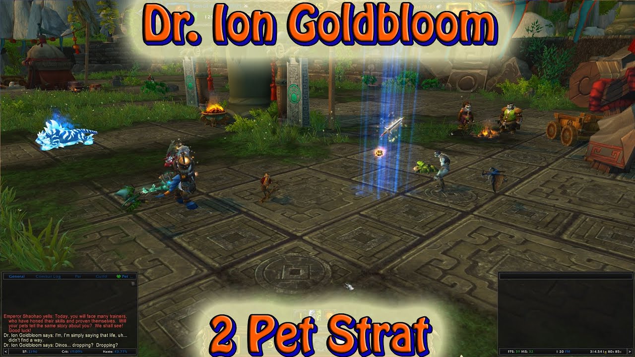 Dr. Ion Goldbloom 2 Pet Strategy - YouTube