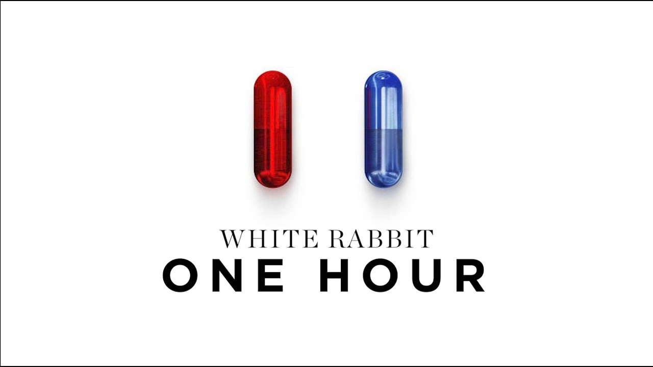 1 Hour Matrix 4 Resurrections Trailer Music | White Rabbit Official ...