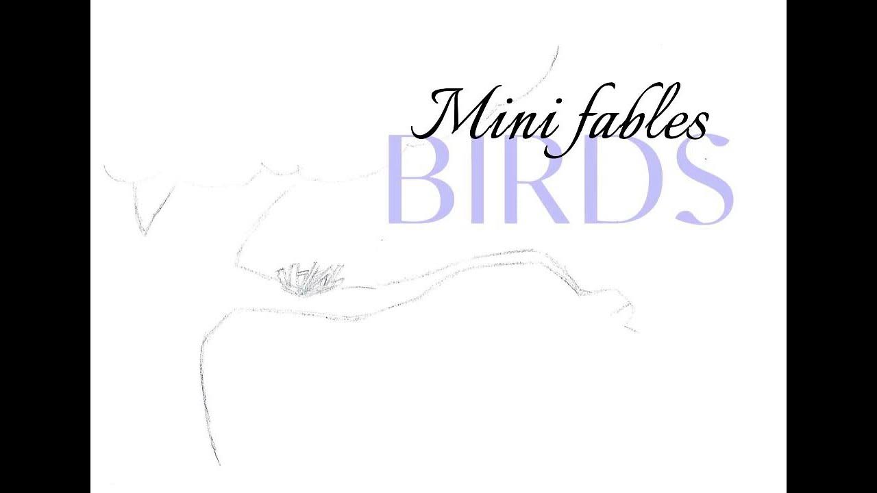 Birds Youtube