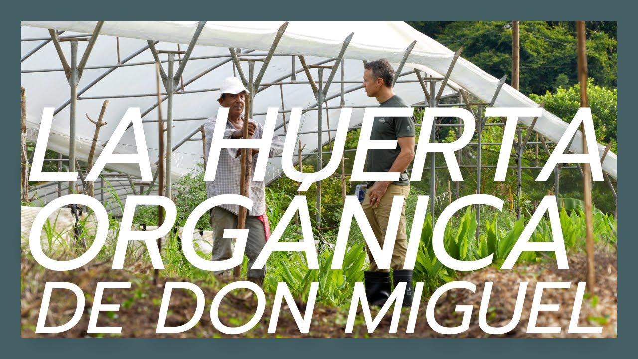 LA HUERTA ORGÁNICA DE DON MIGUEL. PENÍNSULA DE NICOYA. SER SALUD ...