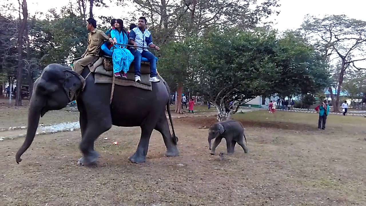 kunjanagar - YouTube