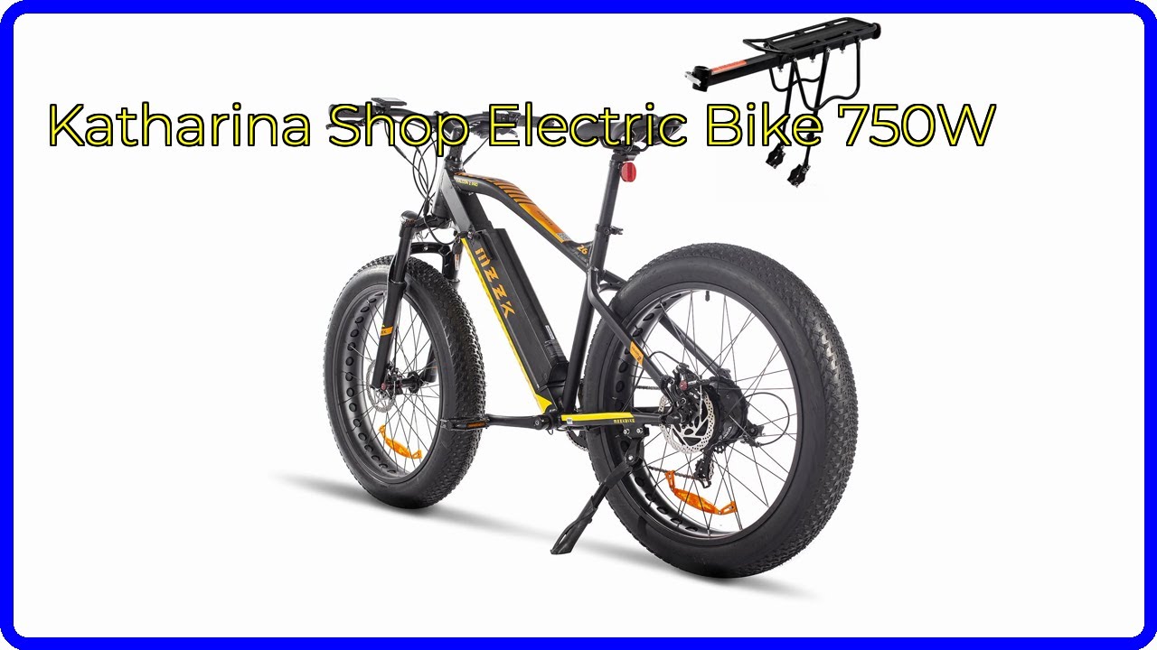 REVIEW (2025): Katharina Shop Electric Bike 750W. ESSENTIAL details ...