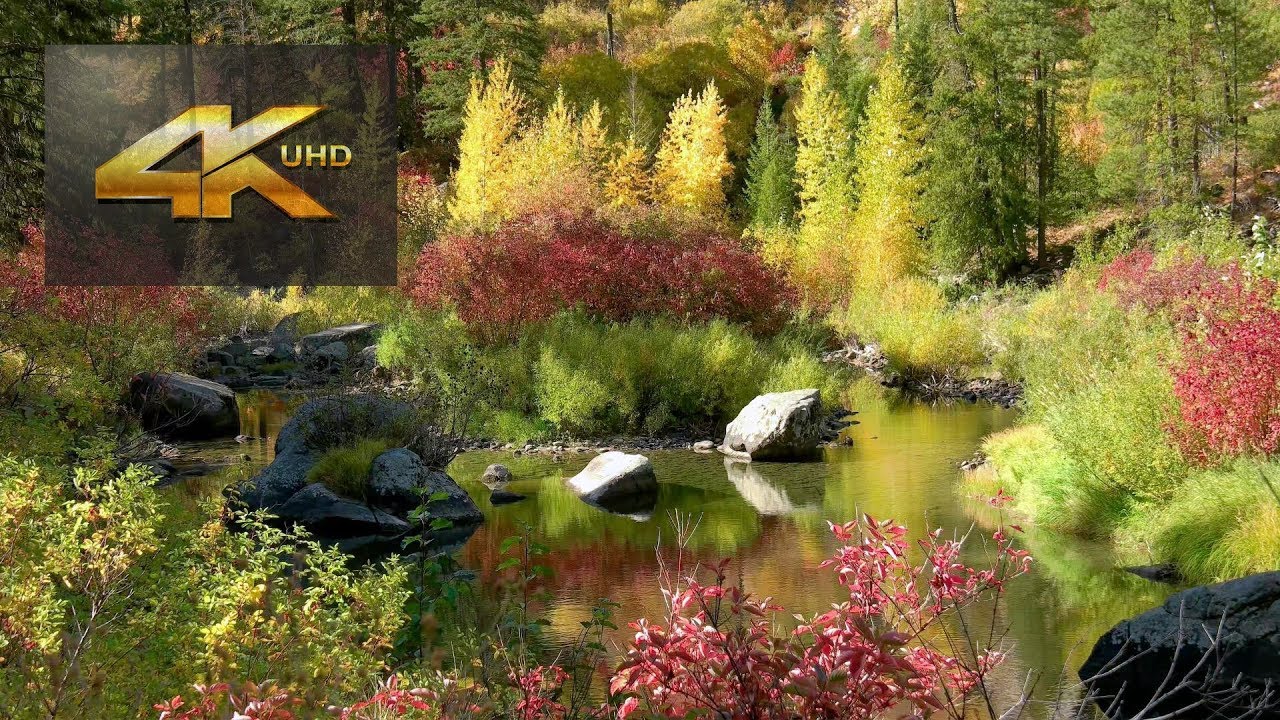 Autumn Foliage near Leavenworth WA 20181012 4K UHD - YouTube