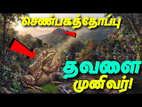 😱தவளையாக சாபம் பெற்ற மண்டூக முனிவர்!😨-செண்பகத்தோப்பு | Senbagathoppu Kattalagar Trek -Virudhunagar