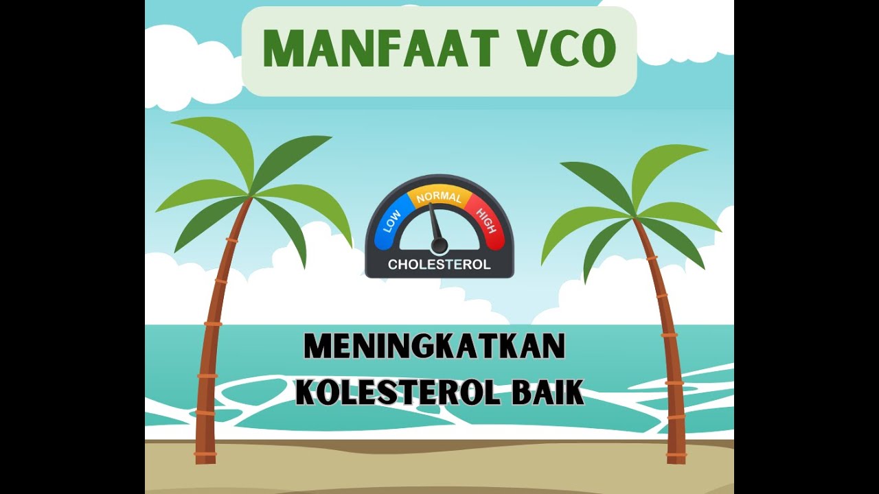 Manfaat Luar Biasa Virgin Coconut Oil (VCO) untuk Kesehatan Tubuh Anda ...