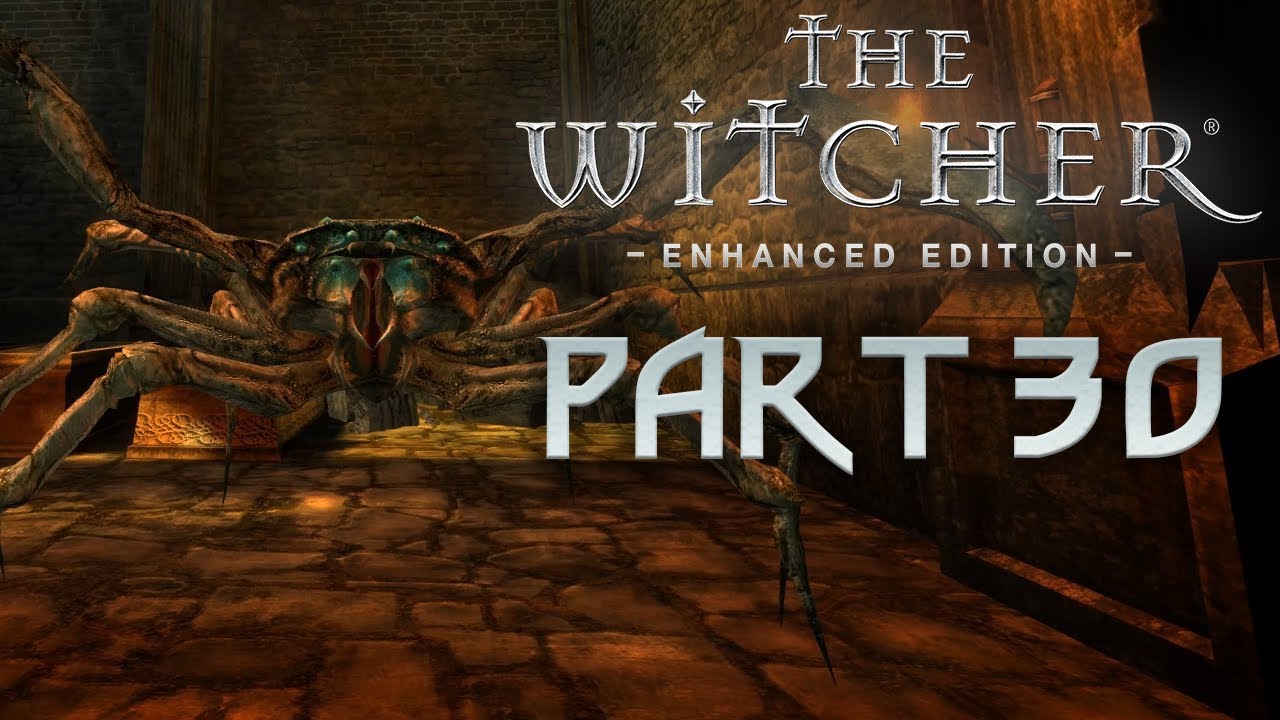 The Witcher 1 - Part 30 - Chapter V Boss Fights! (Playthrough) - Let's ...