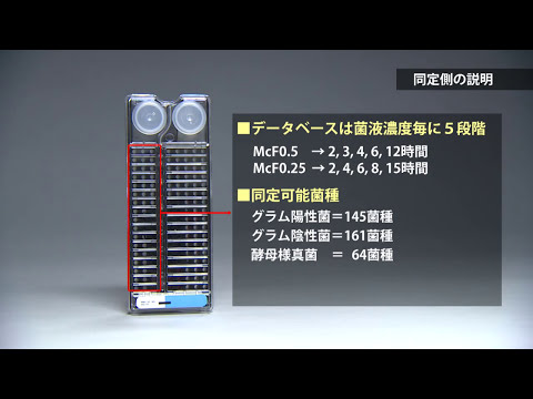 BD Phoenix - YouTube