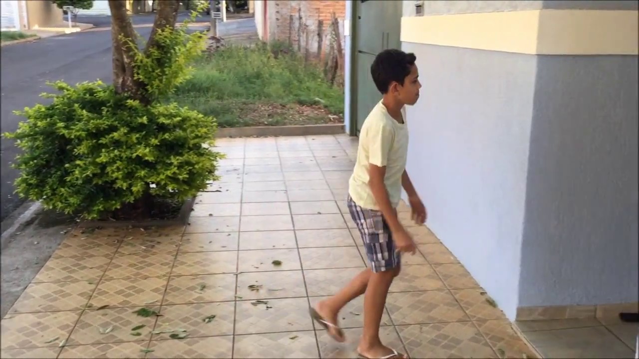 Pingola em: O ARBUSTO - {MADEinCHINA} - YouTube