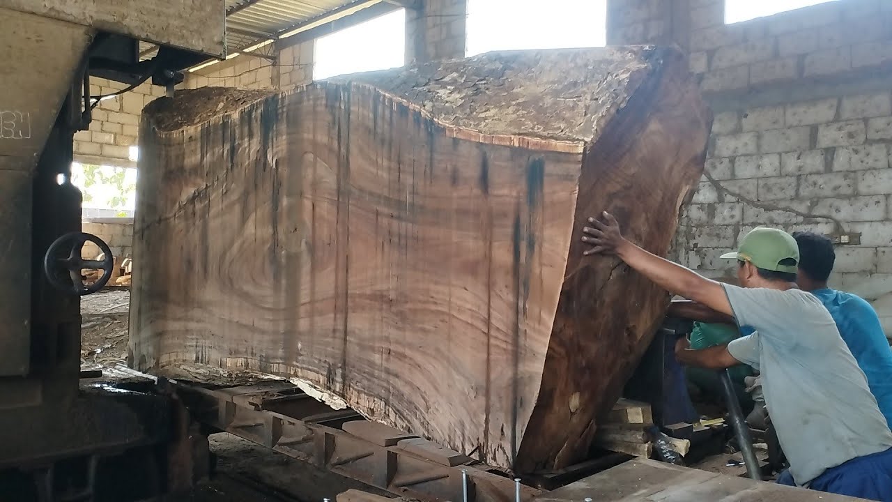 Sawmill Success Stories: Amazing Solid Wood Projects Revealed - YouTube
