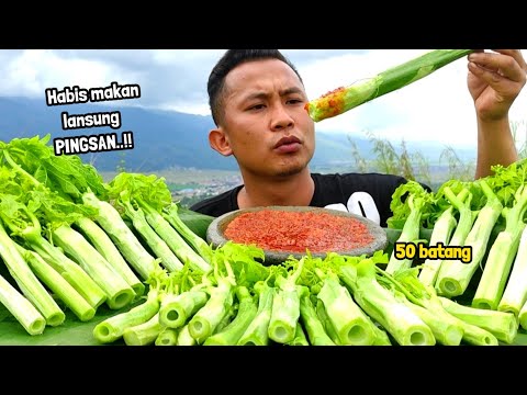 MUKBANG 50 BATANG PEPAYA MENTAH - HABIS MAKAN LANSUNG PINGSAN..!!