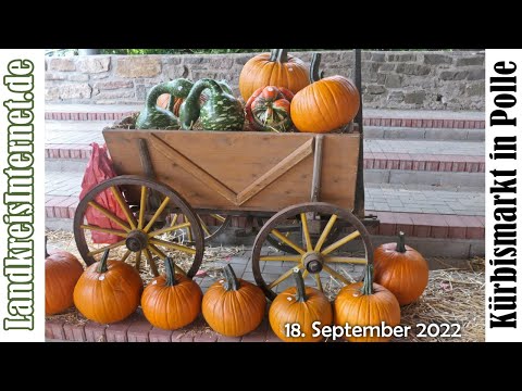 Polle Kürbismarkt