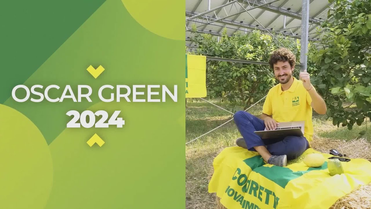 Oscar Green 2024. Al via il premio per le imprese che guardano al ...