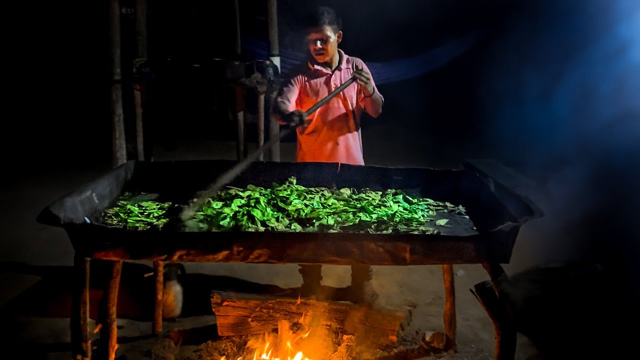 Making Mambe with Coca Leaves in the Colombian Rainforest - YouTube