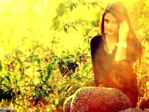 ayşe gökalp- hoşçakal