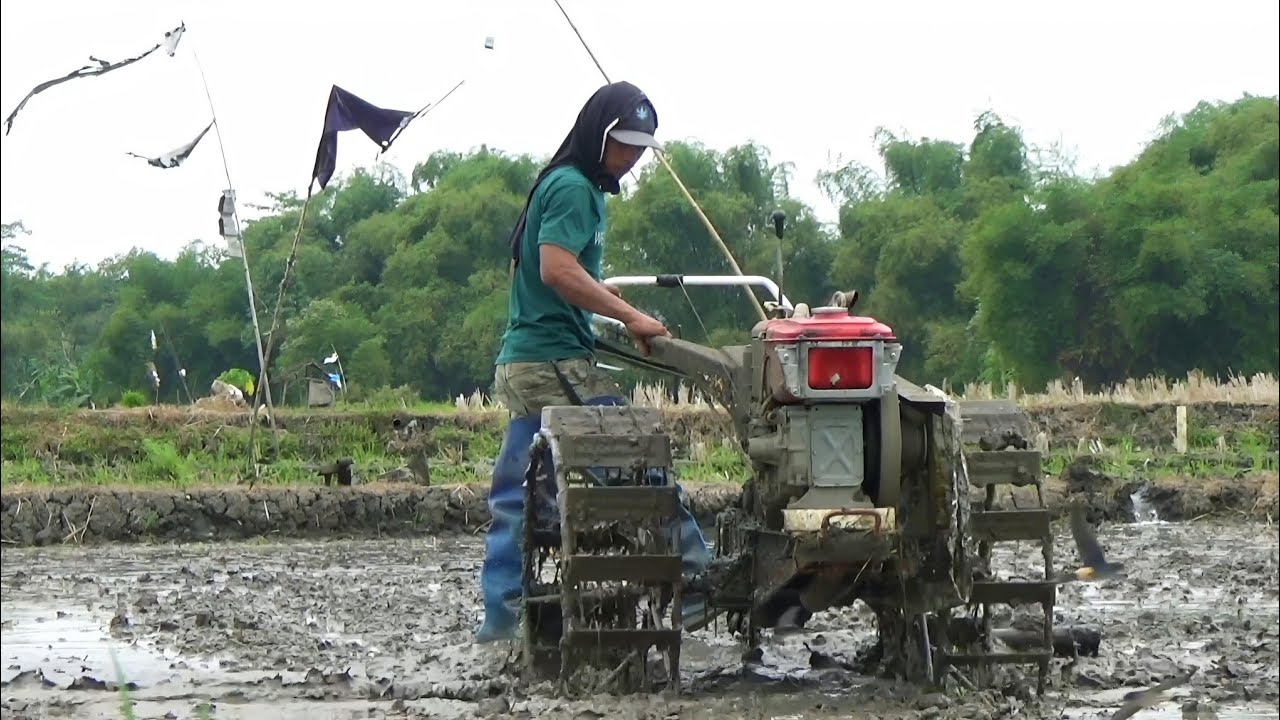 Technique for leveling land in rice fields - YouTube