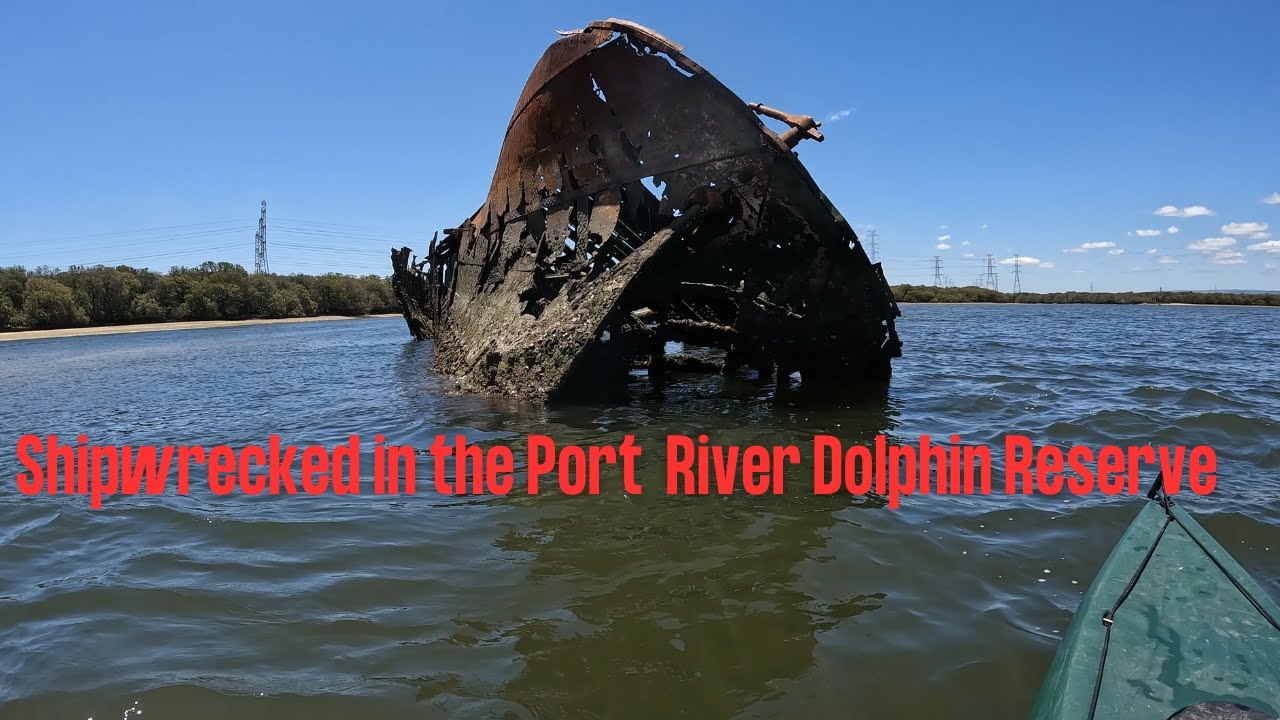 Ship Wrecked in the Port River Dolphin Reserve - YouTube