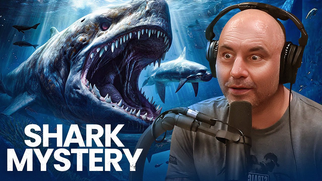 The 2003 Shark Mystery – What Ate the Great White? Ft. Joe Rogan - YouTube
