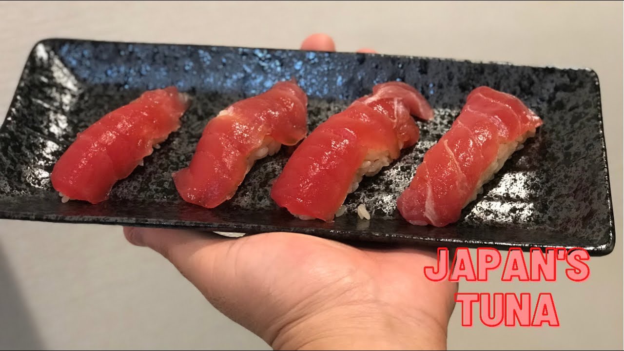 The Lean Tuna Sushi 【How to tuna and make sushi】 - YouTube