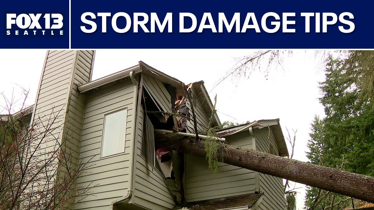 Storm damage tips for WA homeowners | FOX 13 Seattle - YouTube