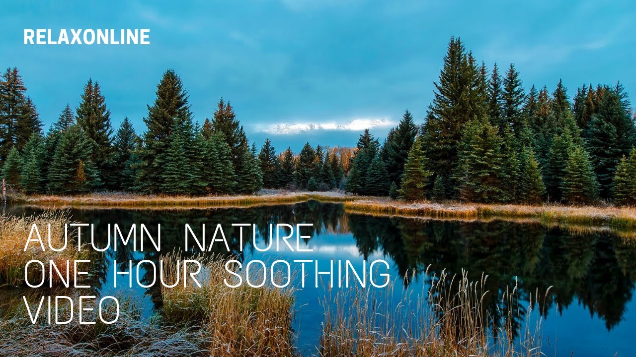 Autumn Nature One Hour Soothing Video - YouTube
