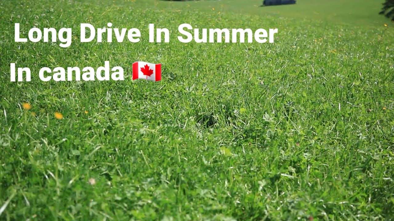 LONG SUMMER DRIVE IN CANADA| BEAUTIFUL VIEW IN SUMMER|MY FIRST VLOG|# ...