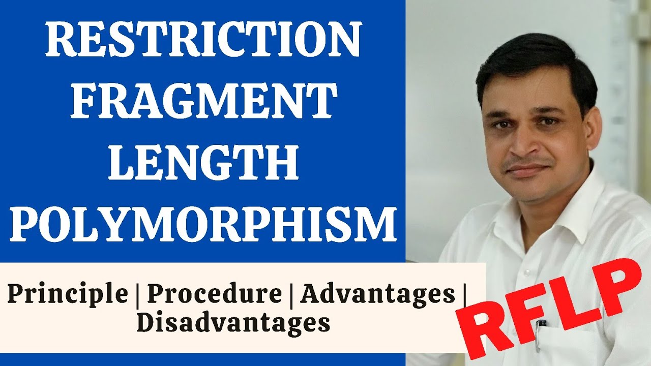 RFLP | Restriction Fragment Length Polymorphism - principle, procedure ...