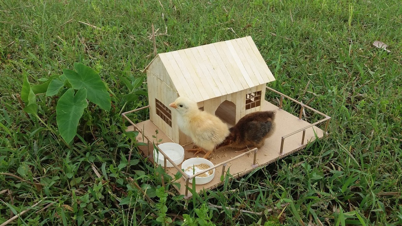 How to Make a Chicken House for Using Popsicle stick - YouTube