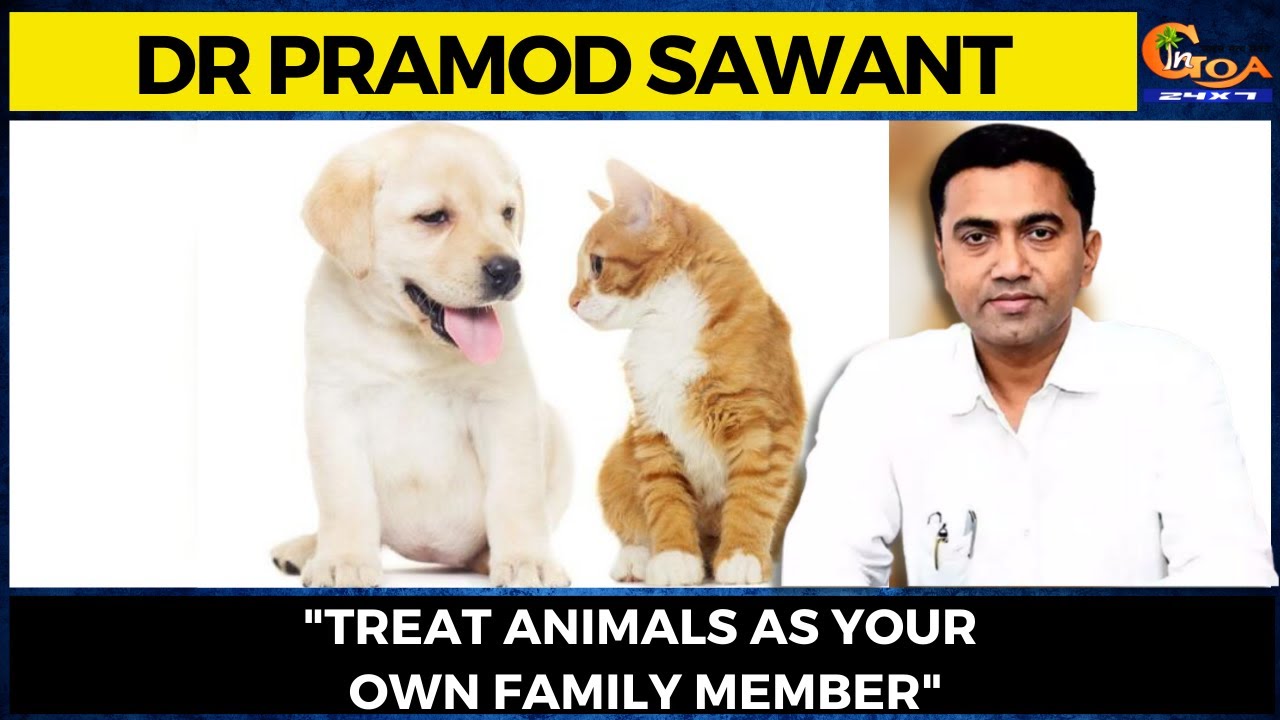 "Treat animals as your own family member". Do not hurt any stray animal ...