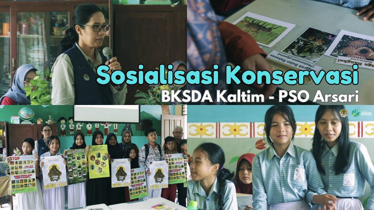 Sosialisasi Konservasi BKSDA Kaltim PSO Arsari - YouTube