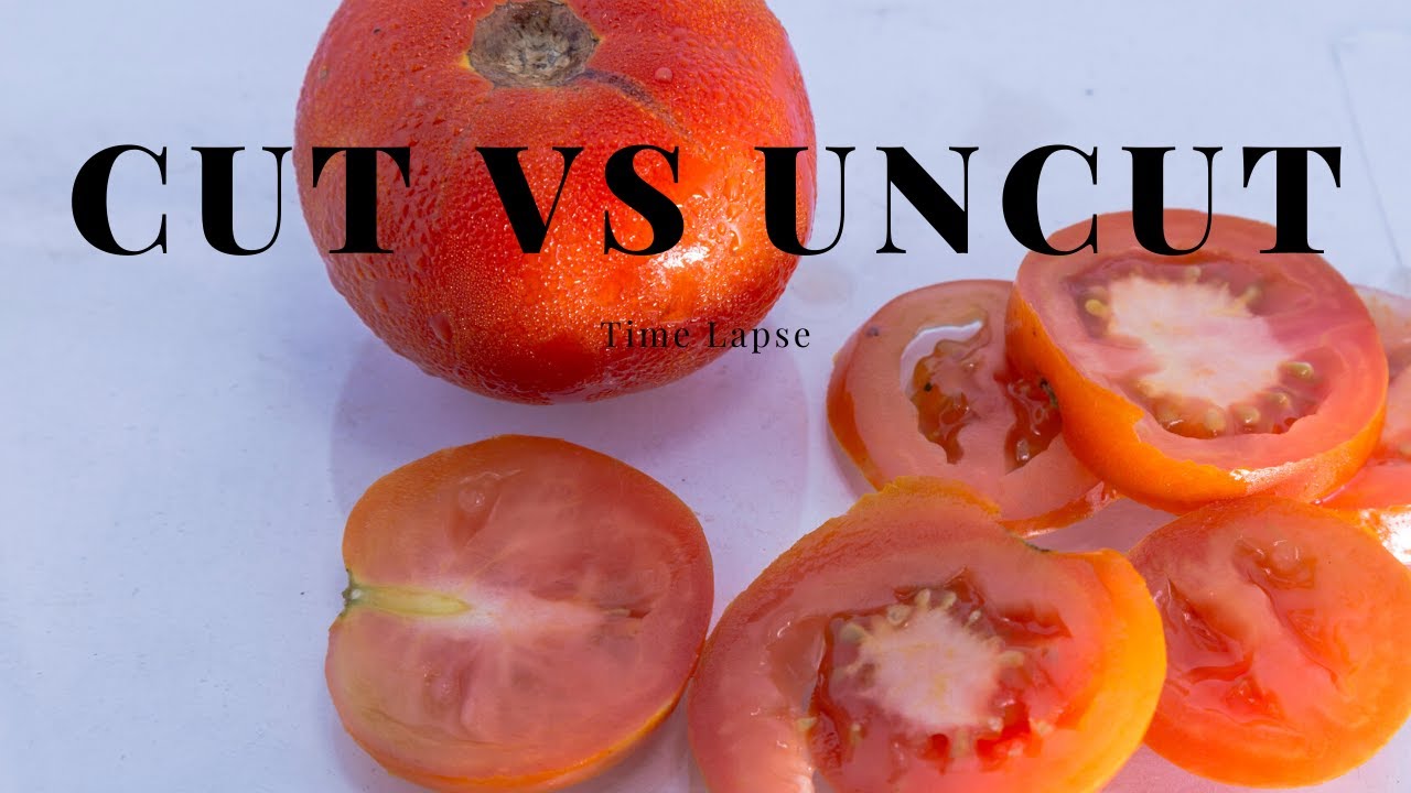 Cut Vs Uncut Tomato Time Lapse - YouTube