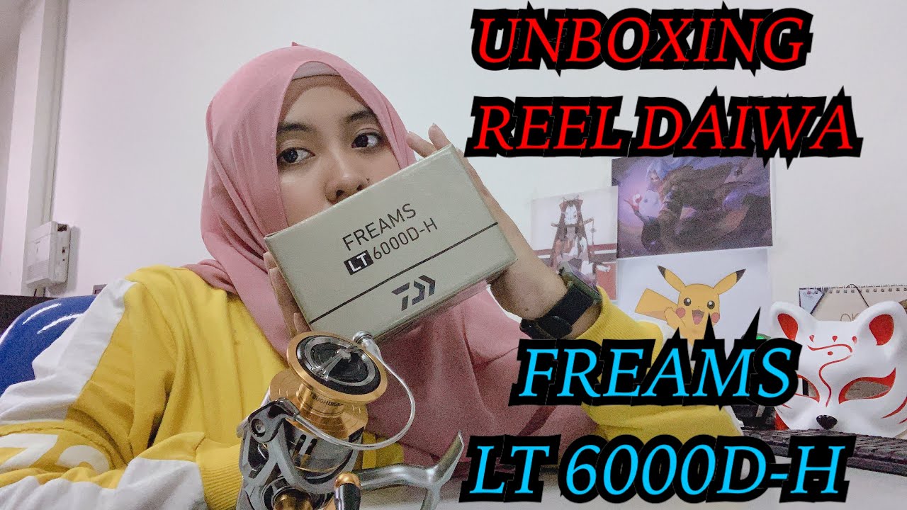 REVIEW REEL DAIWA FRAME 6000 - YouTube