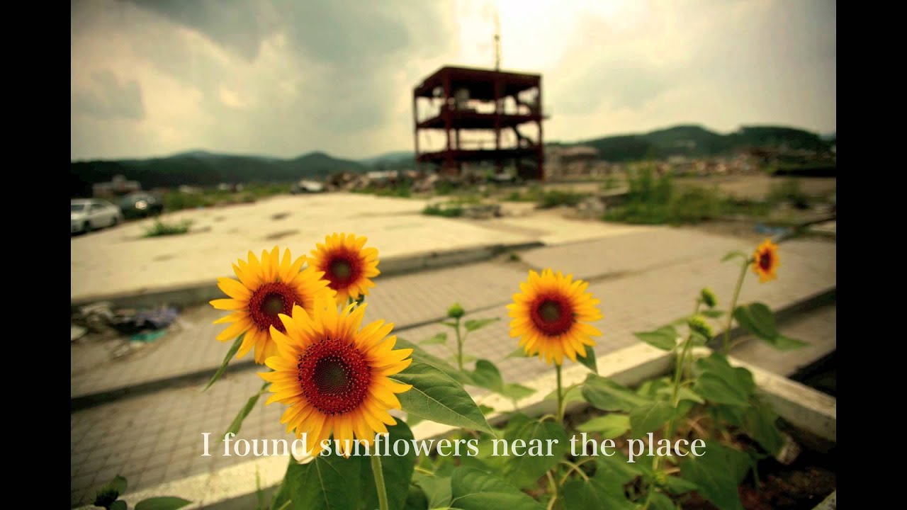 "Sunflowers After Tsunami" A song for an earthquake and a tsunami in ...