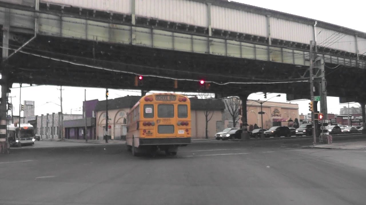 School Bus Passing Steady Red Light Also Texting While Operating a ...