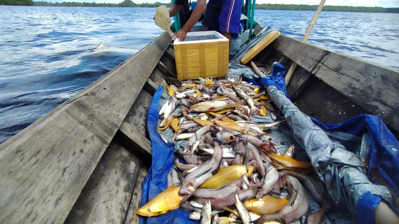mukat udang ikan di laut menggunakan pukat tradisional 3 lapis - YouTube