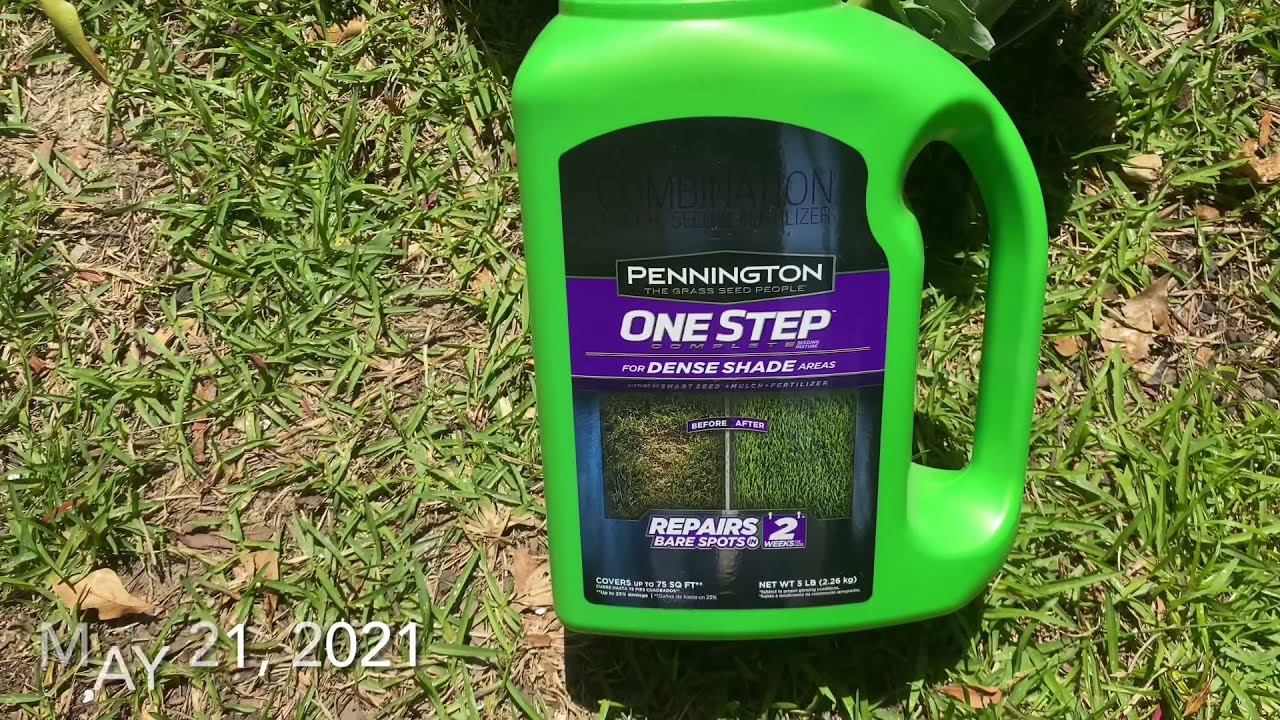 Growing Grass in Shaded Area Under a Tree | Grass Seed That Grow ...