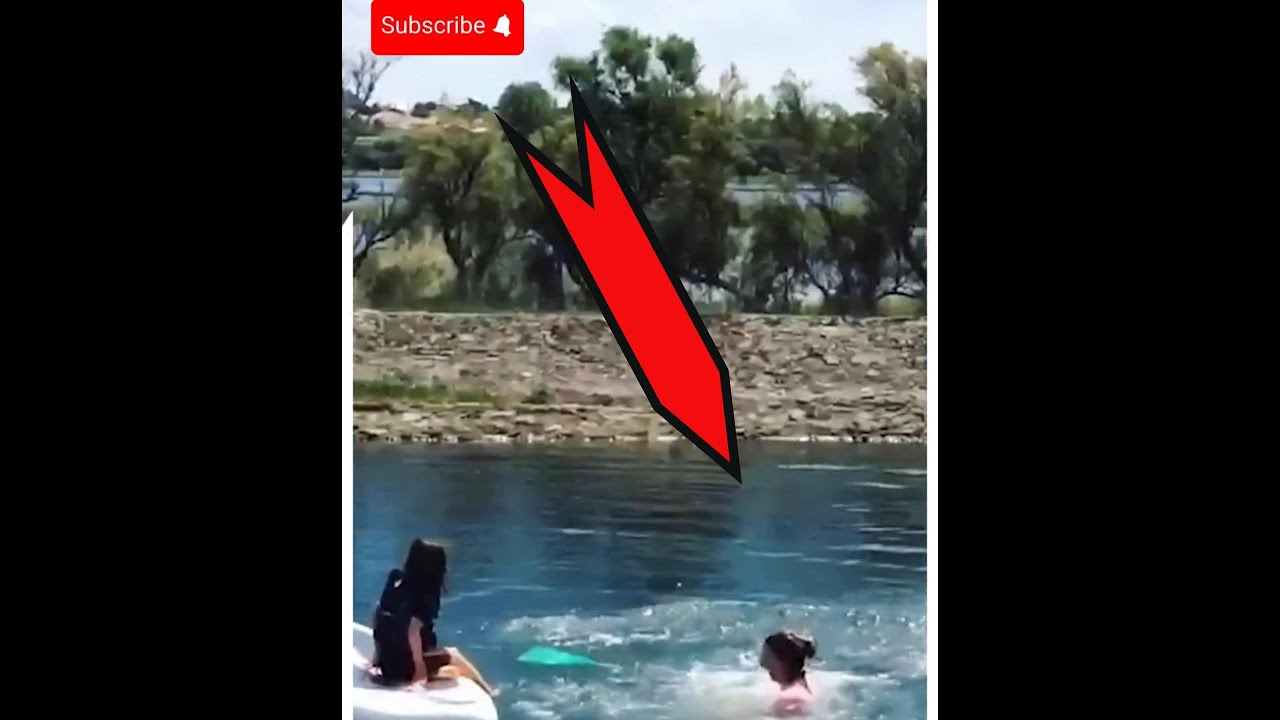 The ending made me scream. Literally. 😆 #funnyvideos - YouTube