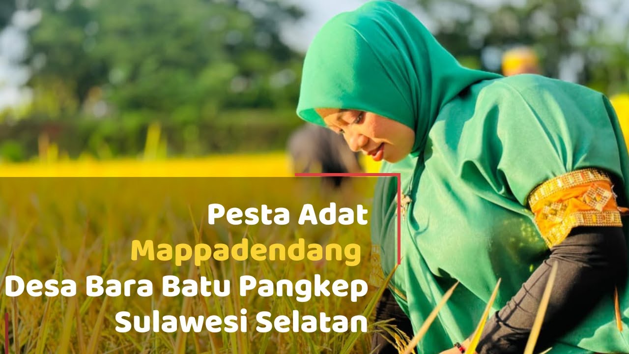 [LIVE] Upacara Syukuran Panen Padi, Pesta Adat Mappadendang Desa Bara ...