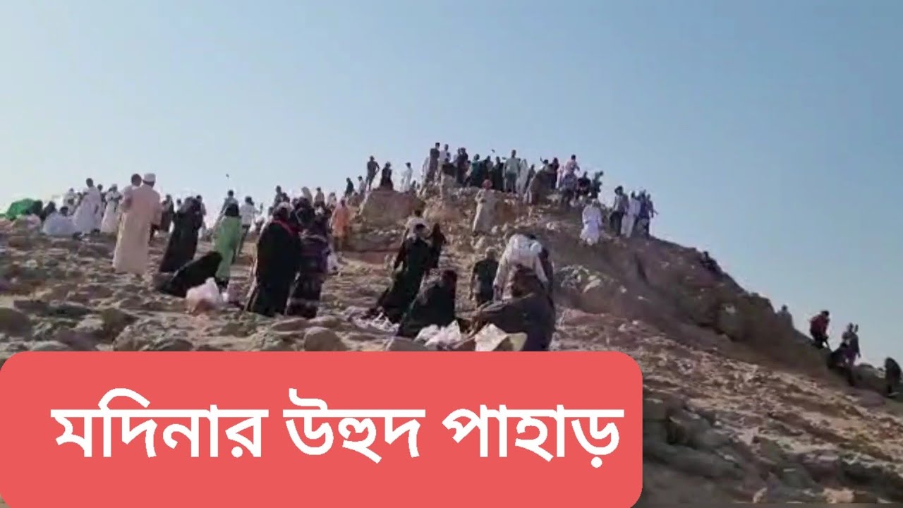 Pigeons Of Medina /Uhud Pahar /মদিনার উহুদ পাহাড়ের এই সেই দৃশ্য যেই ...