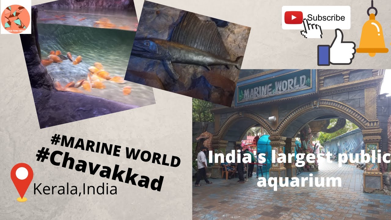 Marine World Chavakkad|India's largest public aquarium|Places tovisit ...