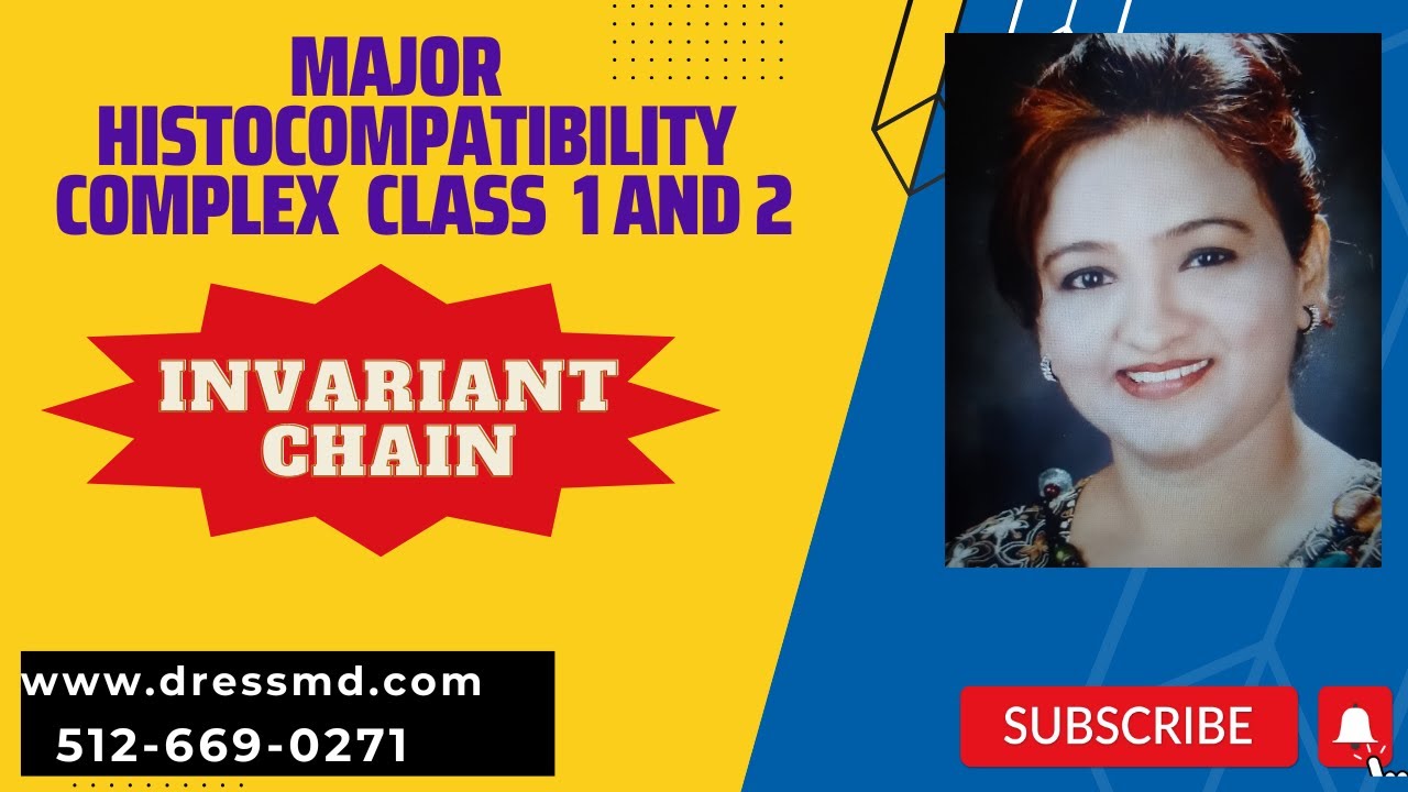 Difference Between MHC Class 1 And 2 I Major Histocompatibility Complex ...