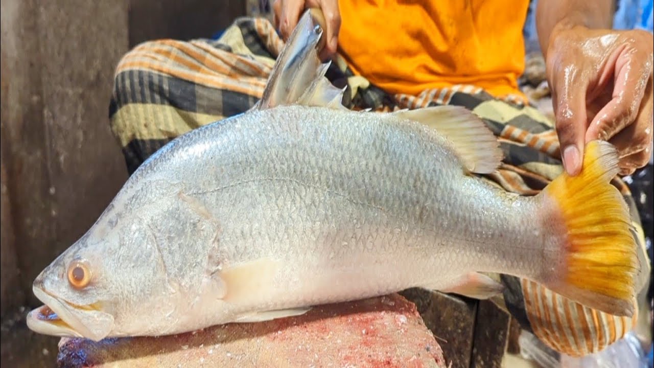 Amazing Huge Bhetki Kural Fish Cutting Skills Live || Kural Fish ...